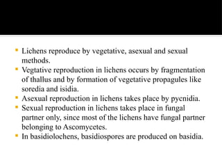 Types of lichens on the basis of Thallus Morphology | PPTX
