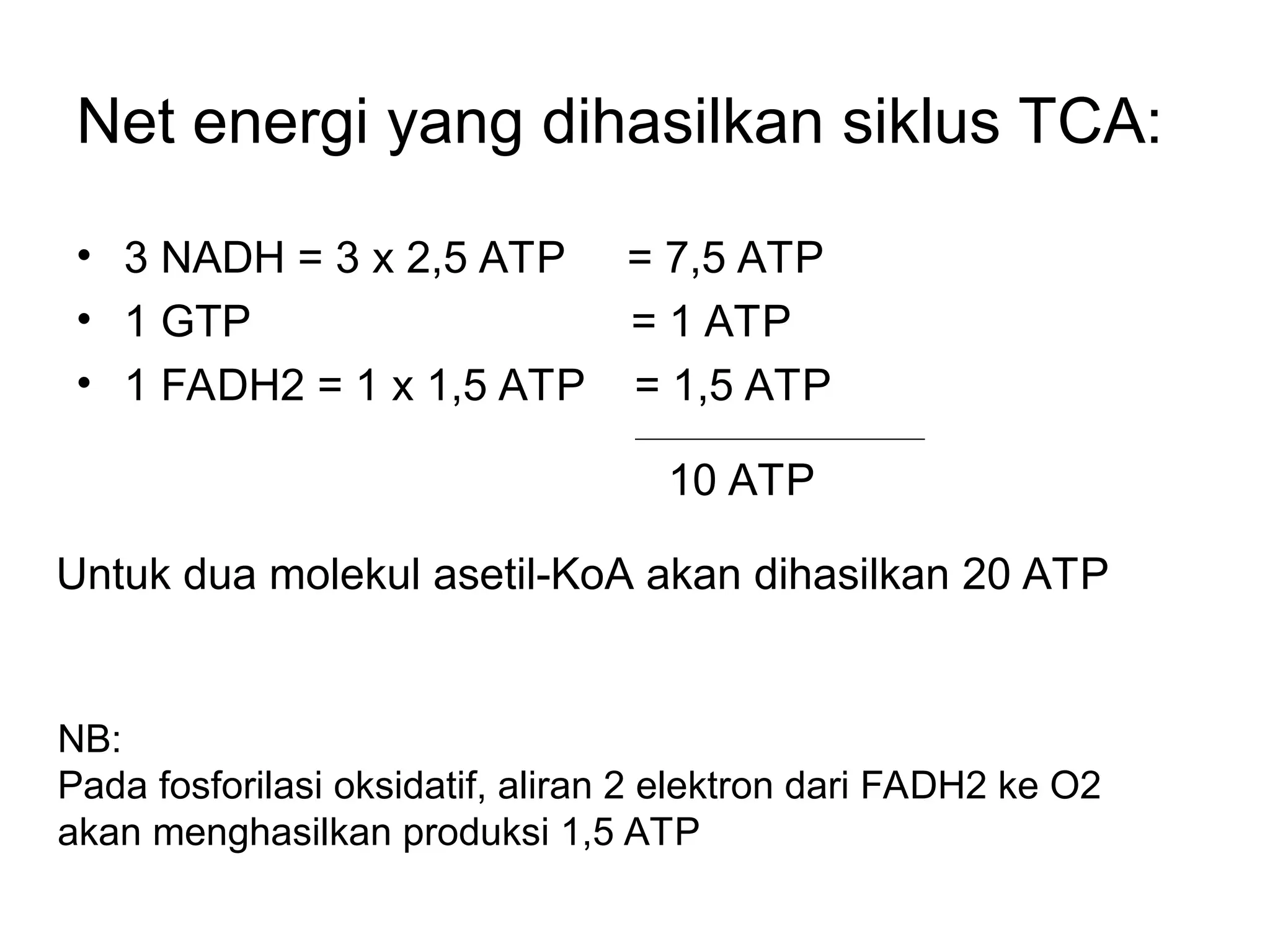 Siklus TCA dan fosforilasi oksidatif.ppt
