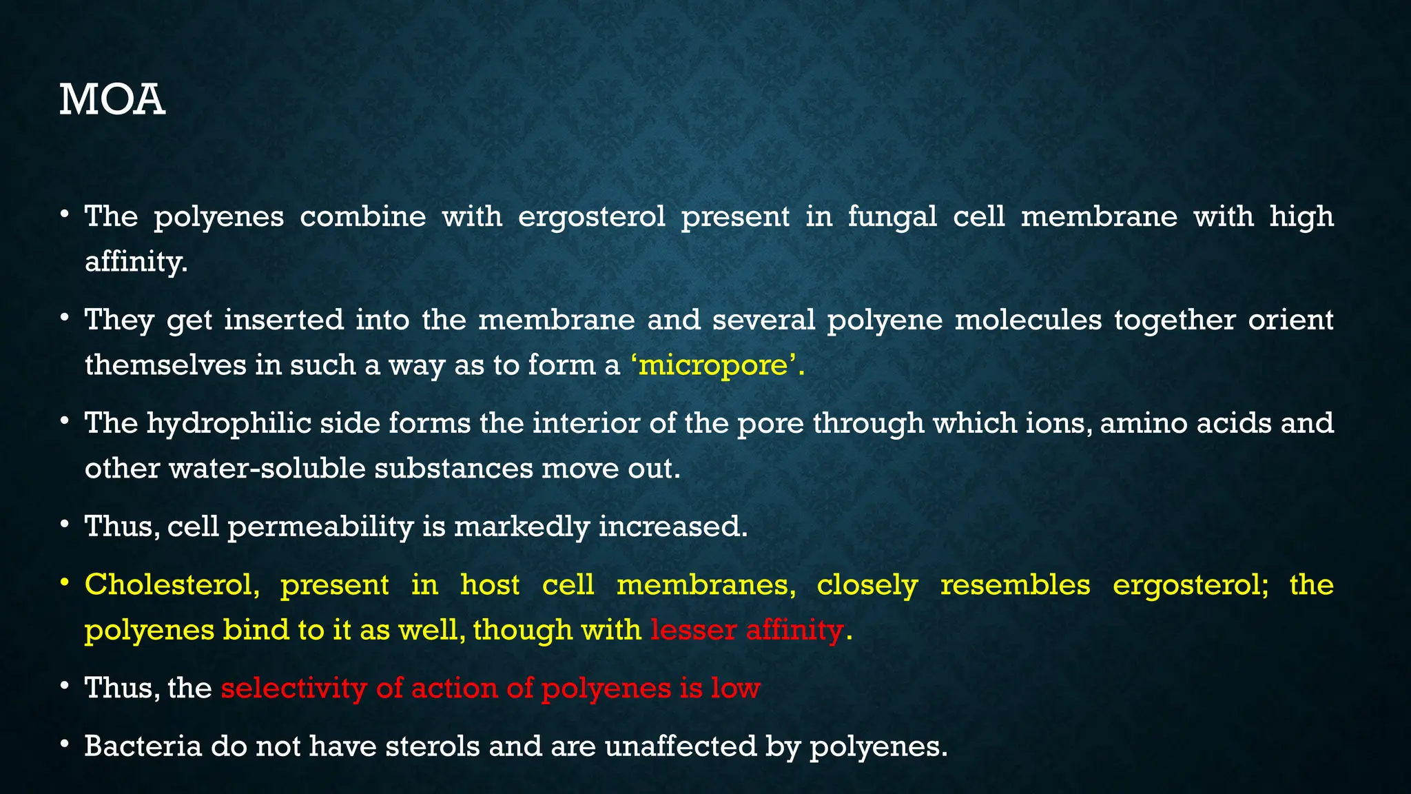 Antifungal Drugs with brief description of drugs and their MOA | PPTX