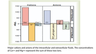 3. BODY FLUIDS & ELECTROLYTE BALANCE.pptx