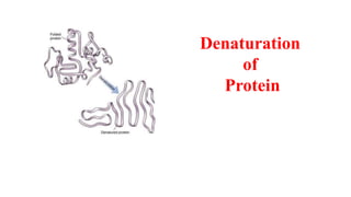 classification & denaturation and structural -functional relationship ...