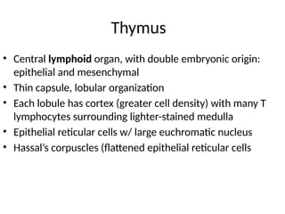 3.SPLEEN AND THYMUS notes for medical students.pptx