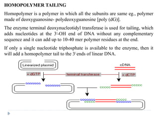 Linkers, adapters and homo-polymer tails | PPTX