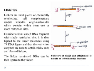 Linkers, adapters and homo-polymer tails | PPTX