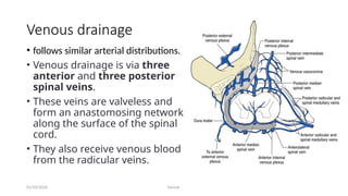 neuroanatomy and Neurolocalisation of spinal cord | PPTX