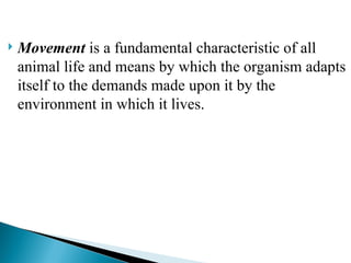 3. INTRODUCTION TO MOVEMENT in biomechanics | PPT
