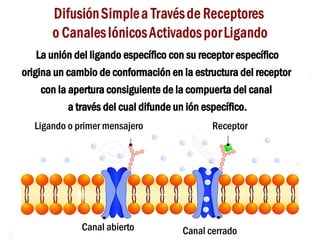 3. TIPOS DE TRANSPORTE A TRAVÈS DE LA MEMBRANA.ppt