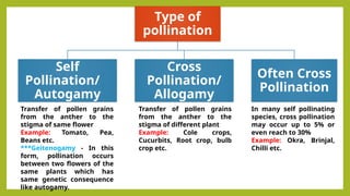 Comprehensive Overview of Pollination Mechanisms and Sex Expression in ...