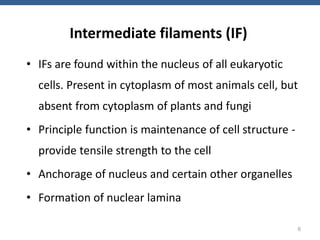 3. Cell Biology - Lecture Cytoskeleton.pdf