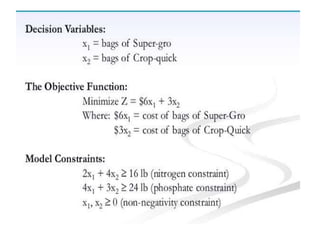 Comprehensive Introduction to Linear Programming Problems and ...