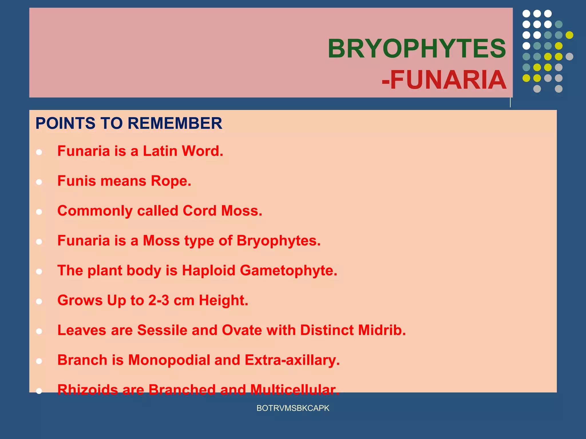 3 2 bryophytes -funaria | PDF