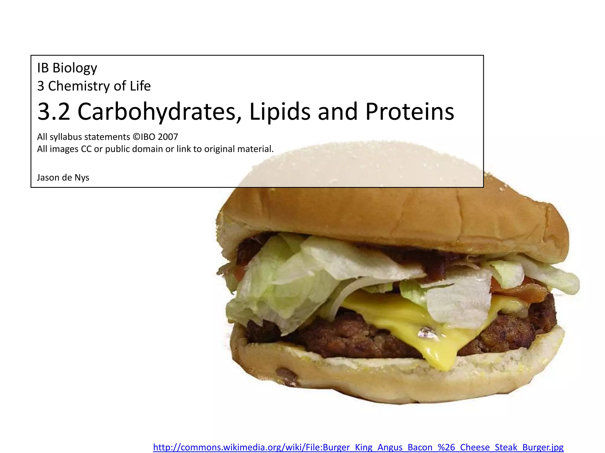 IB Biology Core 3.2: Carbohydrates Lipids and Proteins | PPT