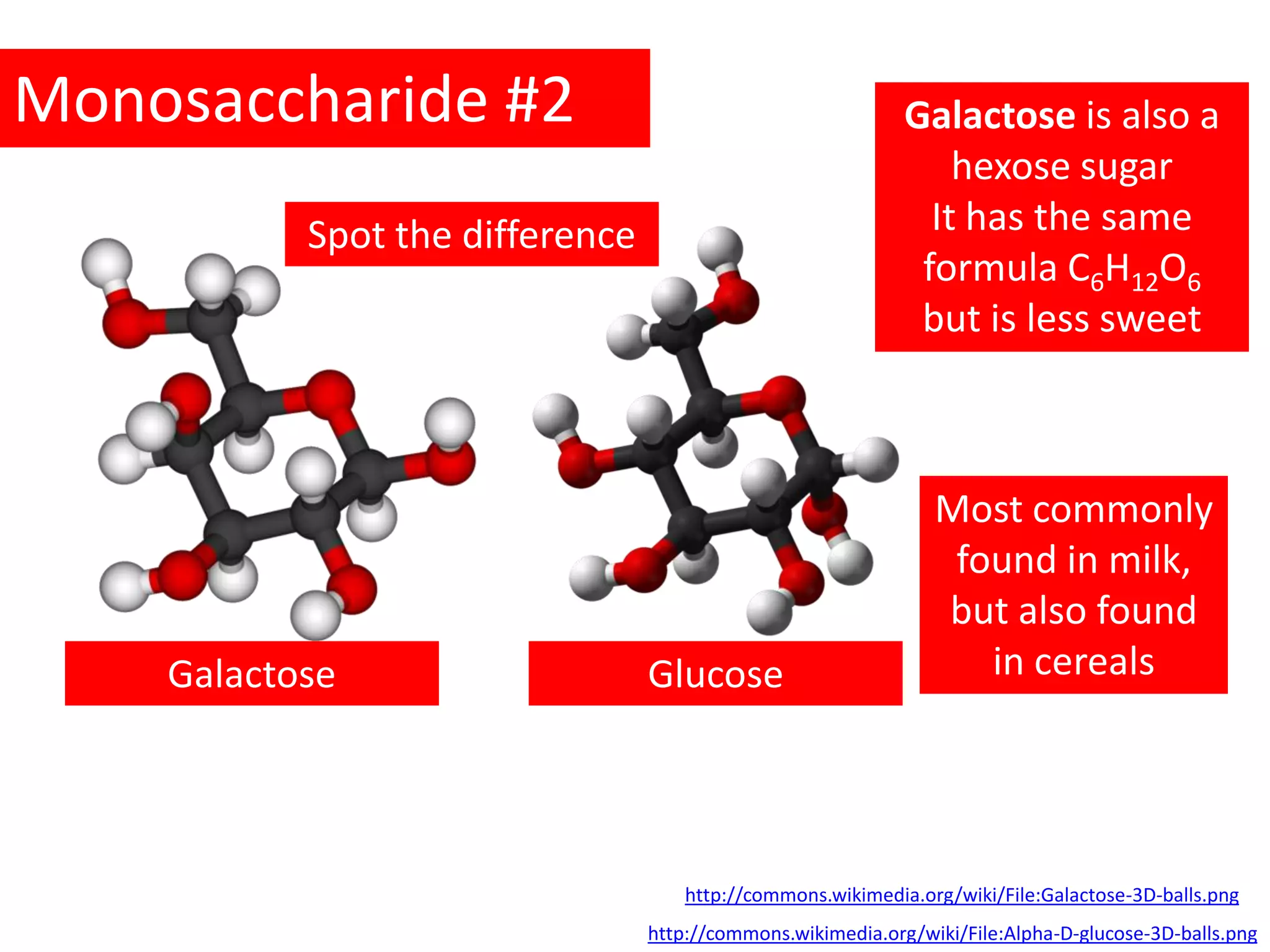 IB Biology Core 3.2: Carbohydrates Lipids and Proteins | PPT