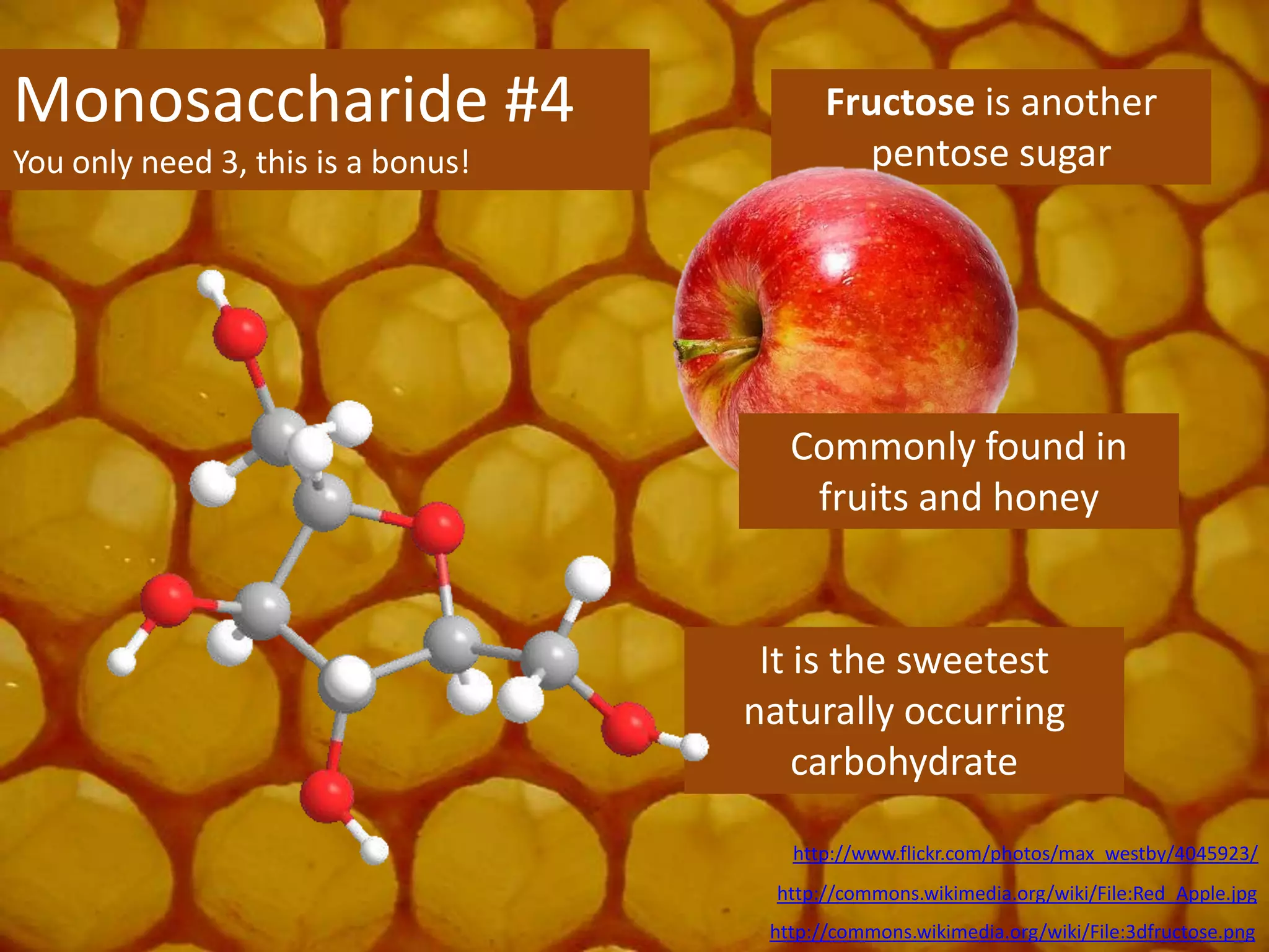 IB Biology Core 3.2: Carbohydrates Lipids and Proteins | PPT