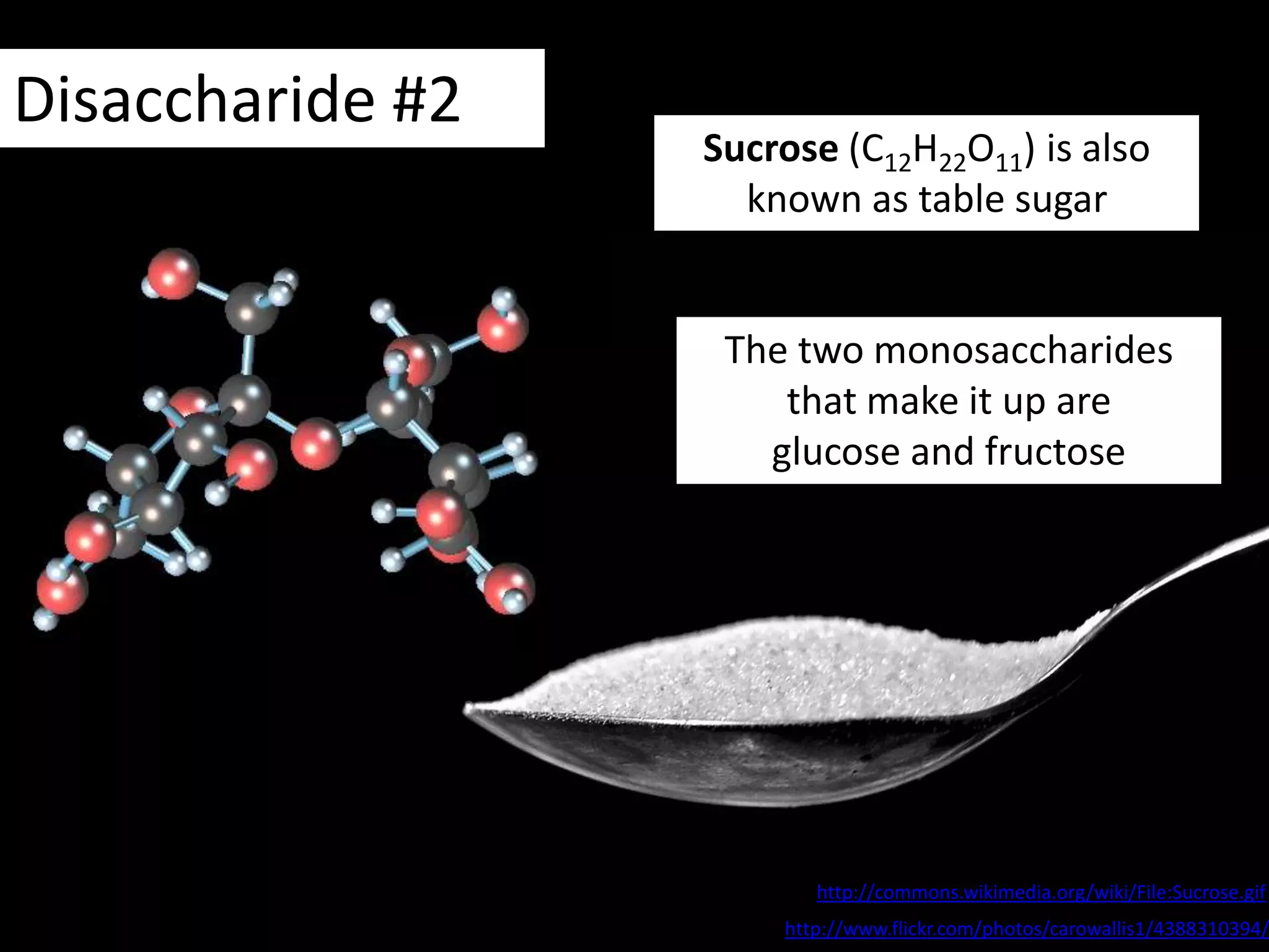 IB Biology Core 3.2: Carbohydrates Lipids and Proteins | PPT