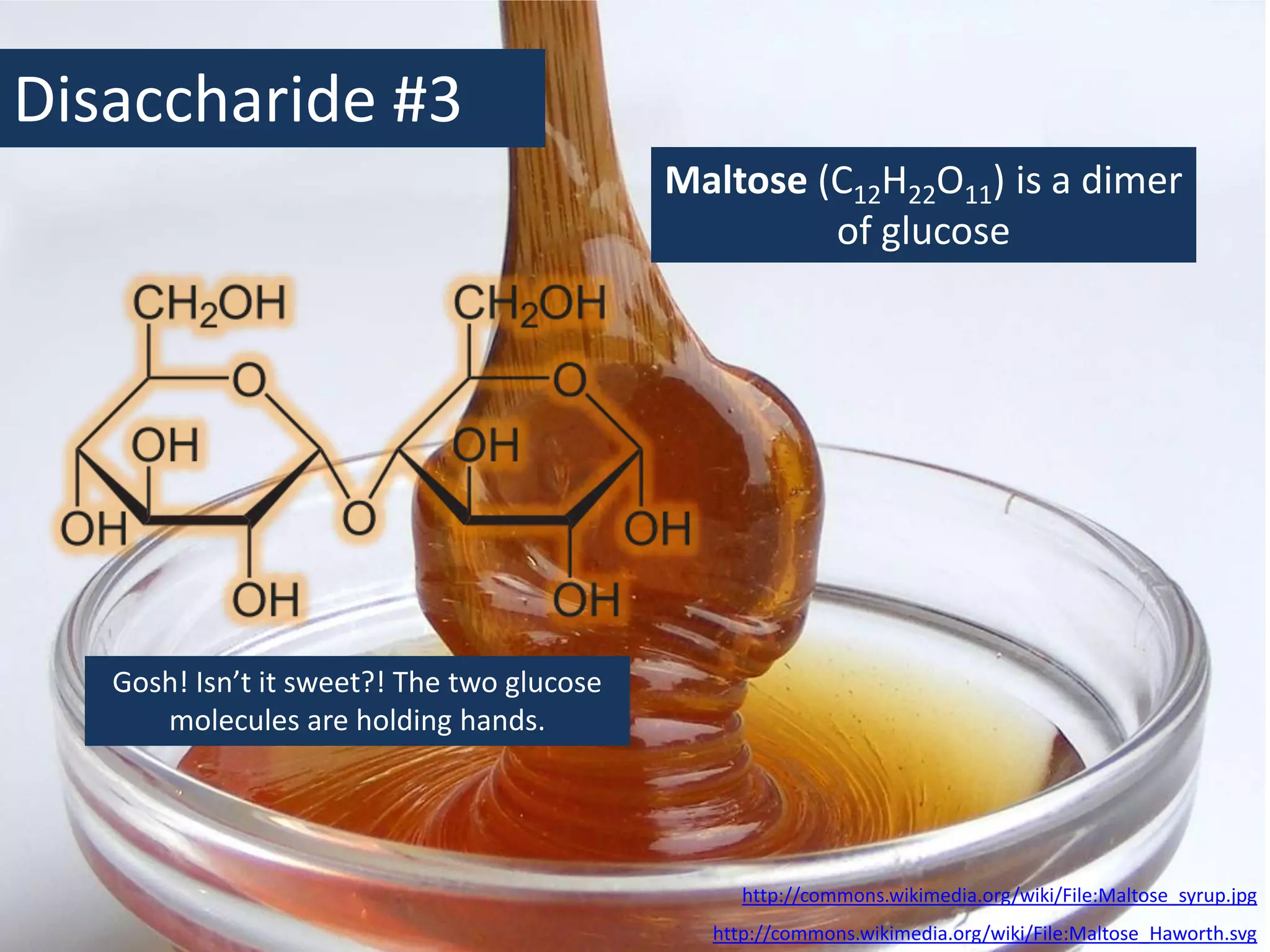 IB Biology Core 3.2: Carbohydrates Lipids and Proteins | PPT