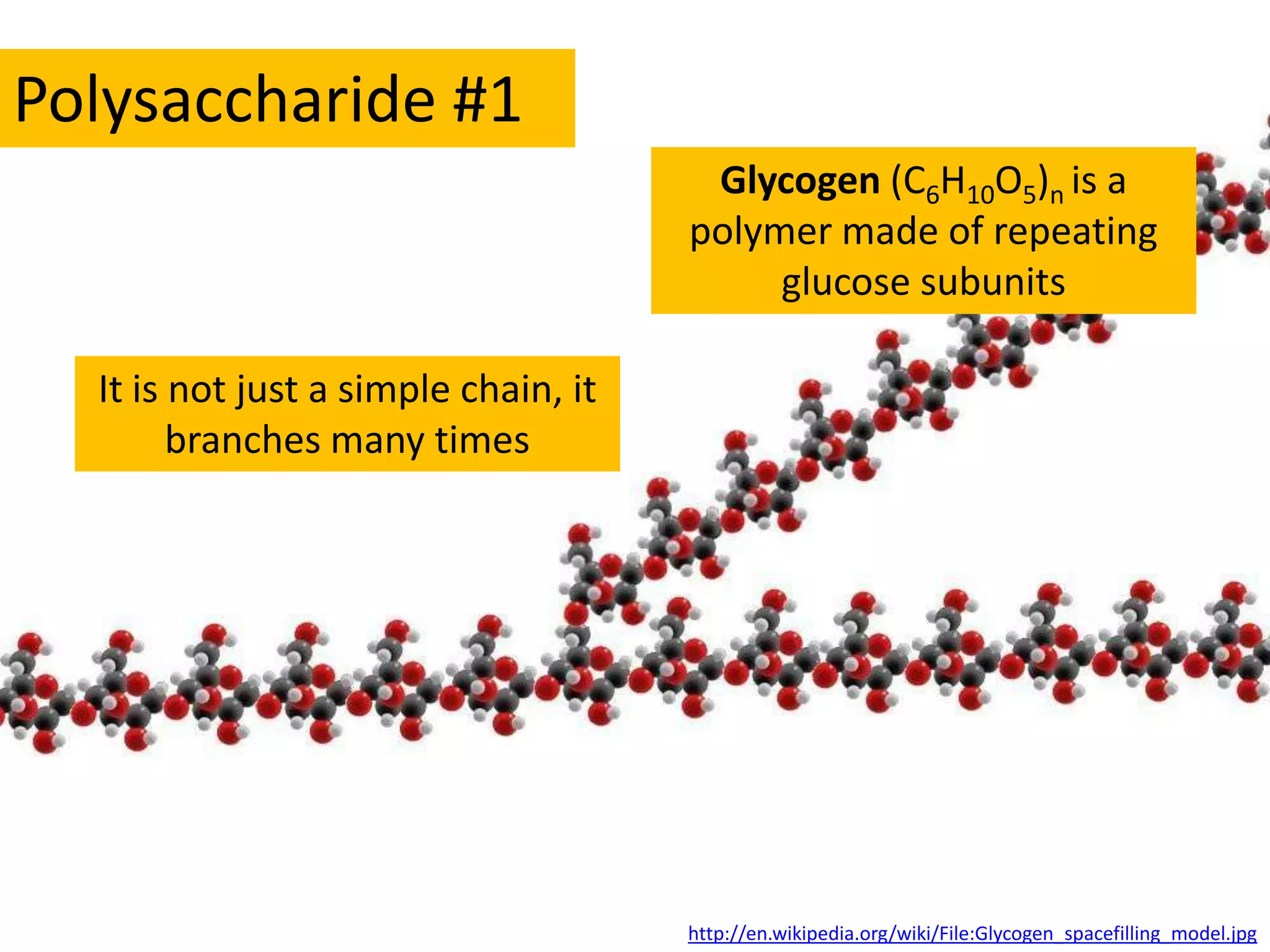 IB Biology Core 3.2: Carbohydrates Lipids and Proteins | PPT