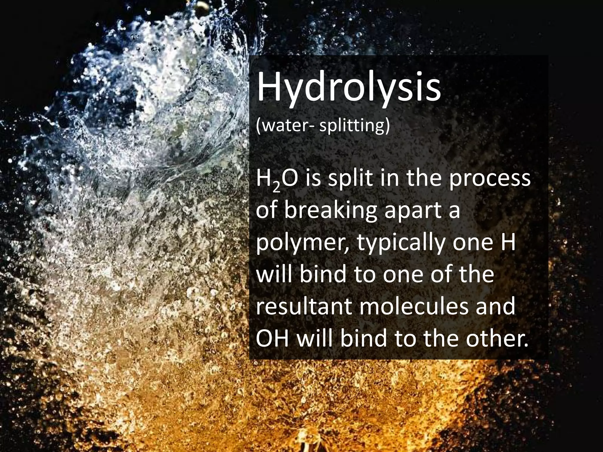 IB Biology Core 3.2: Carbohydrates Lipids and Proteins | PPTX