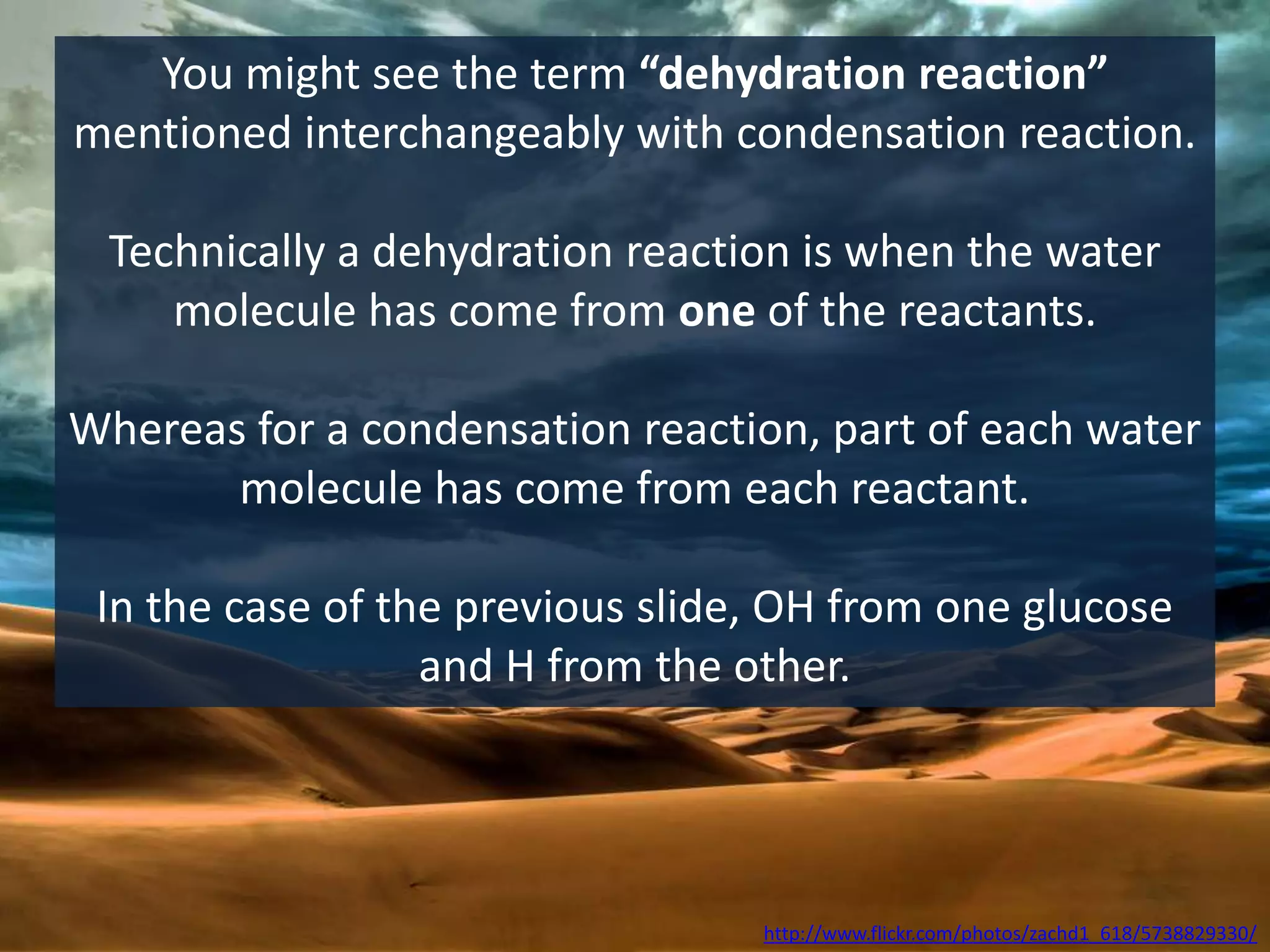 IB Biology Core 3.2: Carbohydrates Lipids and Proteins | PPTX