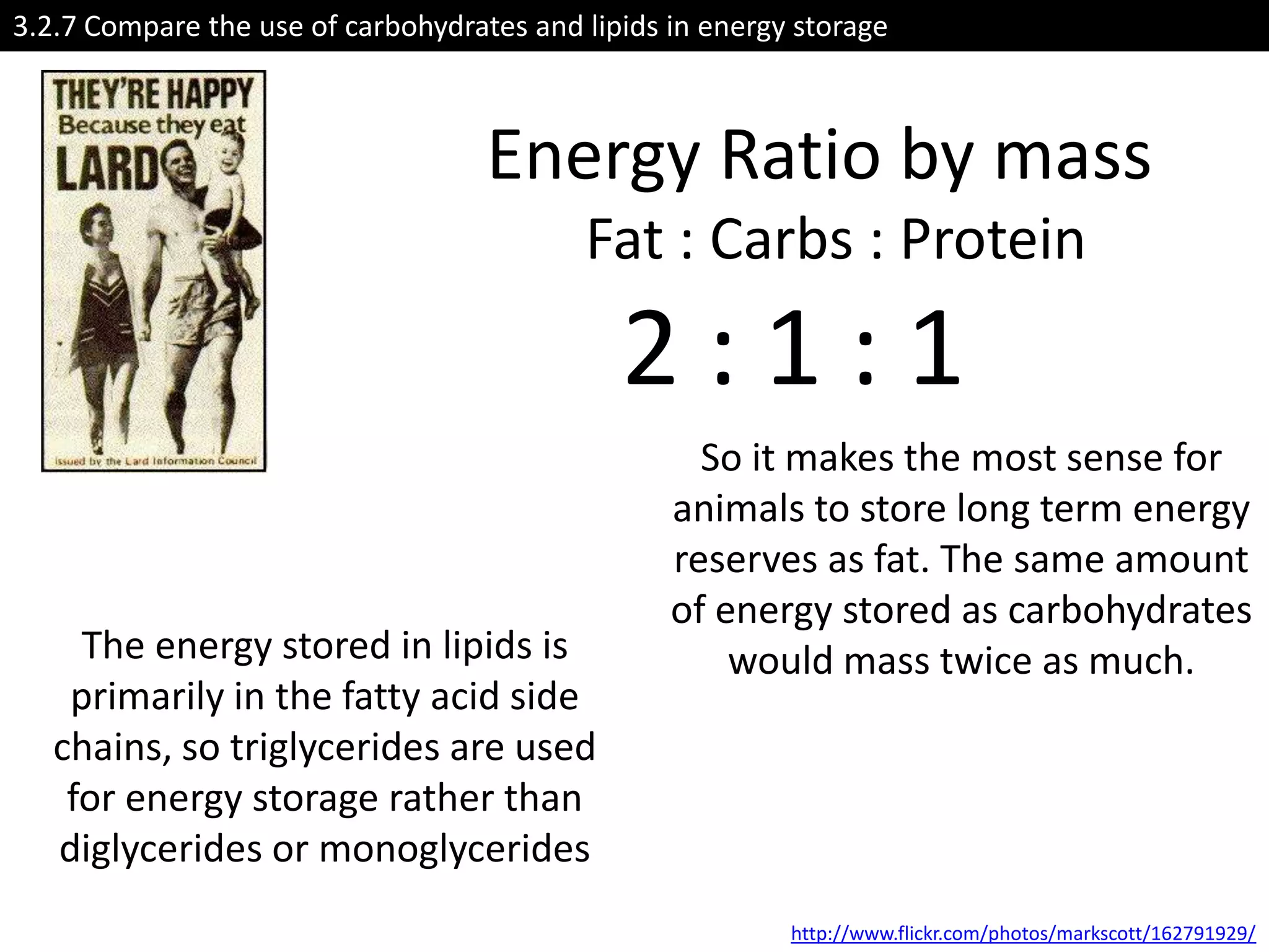 IB Biology Core 3.2: Carbohydrates Lipids and Proteins | PPT