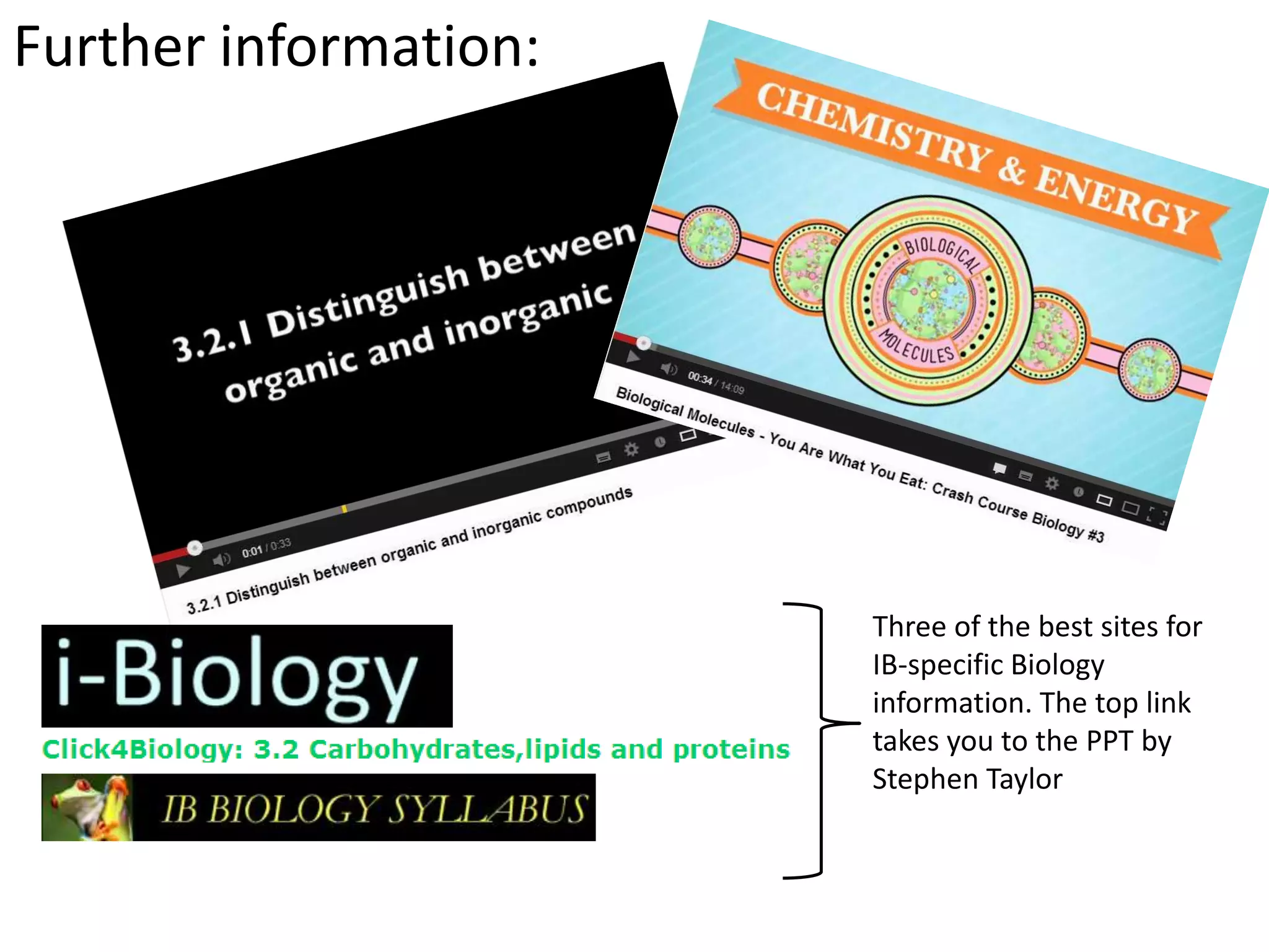 IB Biology Core 3.2: Carbohydrates Lipids and Proteins | PPT