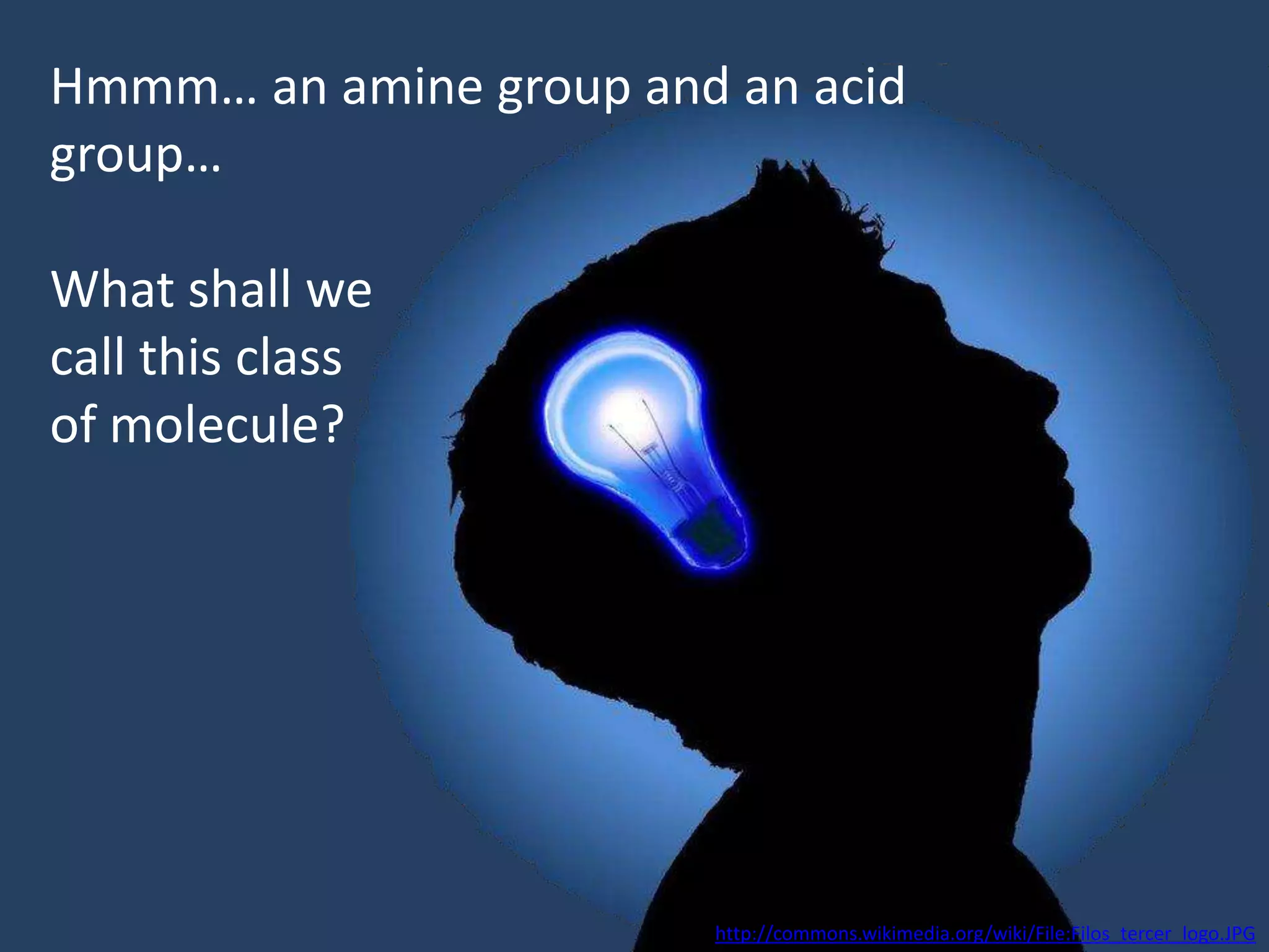 IB Biology Core 3.2: Carbohydrates Lipids and Proteins | PPT