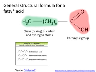 IB Biology Core 3.2: Carbohydrates Lipids and Proteins | PPT