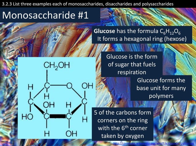 IB Biology Core 3.2: Carbohydrates Lipids and Proteins | PPT