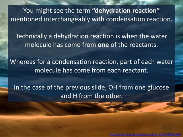 IB Biology Core 3.2: Carbohydrates Lipids and Proteins | PPT