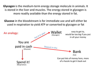 IB Biology Core 3.2: Carbohydrates Lipids and Proteins | PPTX