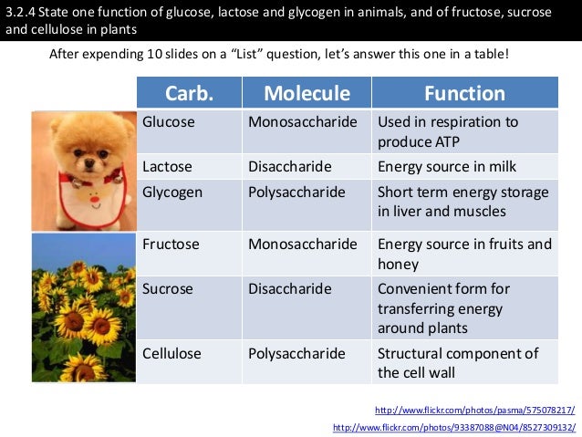 Structure And Function Of Carbohydrates Lipids Proteins | Makeupview.co