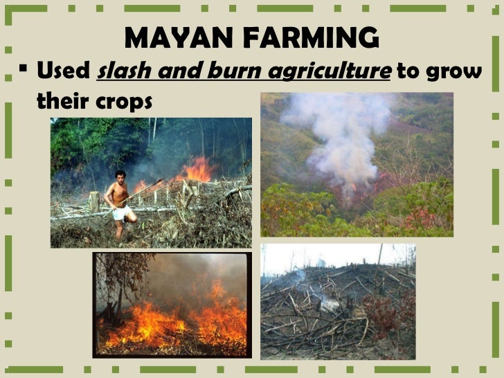 Maya Slash And Burn Method