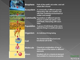 3 2 major components of an ecosystem | PPTX