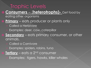 3 2 major components of an ecosystem | PPTX