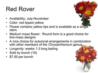 Mums Disbud & History | PPT