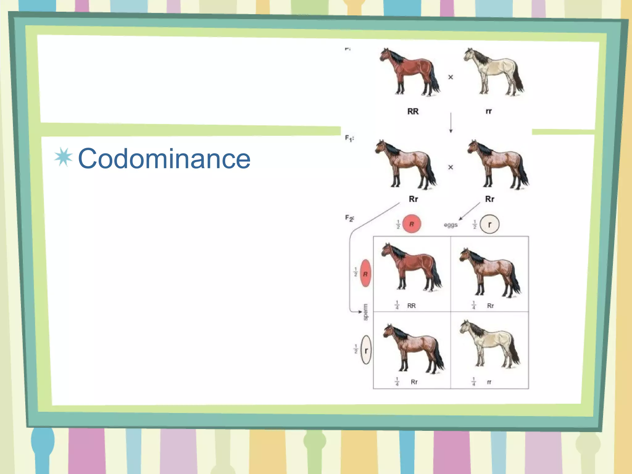 3.2 probability and heredity 2 | PPT