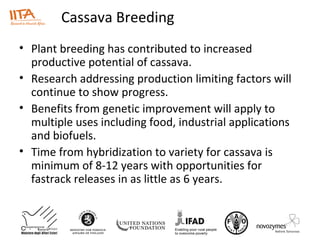 3.2 session by kulakow cassava breeding in ssa3 brief | PPT ...