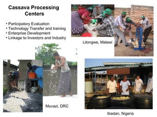 3.2 session by kulakow cassava breeding in ssa3 brief | PPT | Agriculture | Industries