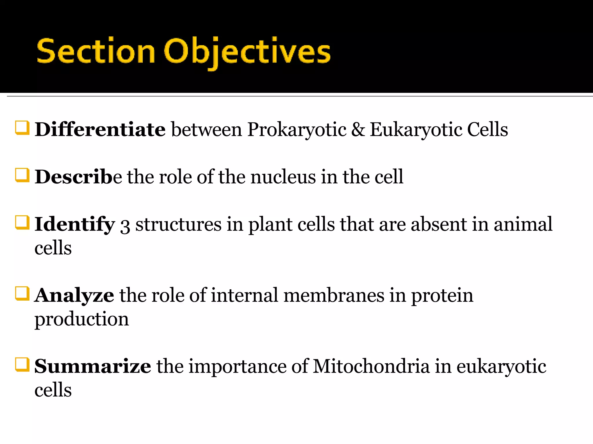 3 3 Cell Organelles Ppt | PPT