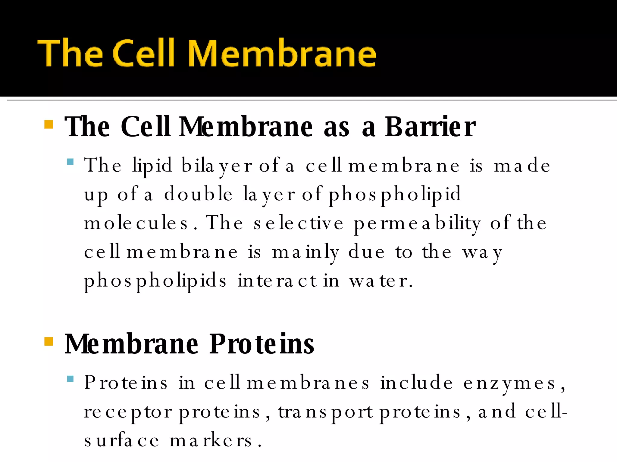 3 3 Cell Organelles Ppt | PPT