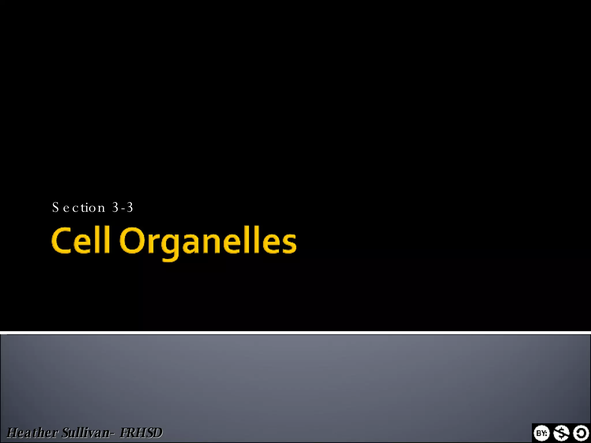 3 3 Cell Organelles Ppt | PPT