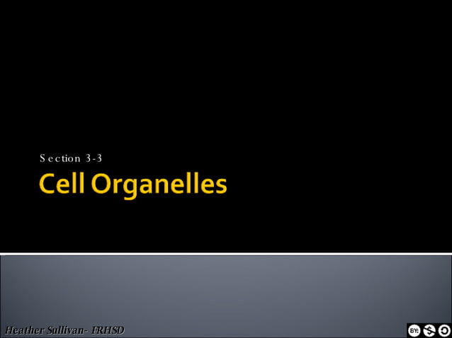 3 3 Cell Organelles Ppt Ppt Biological Sciences Science
