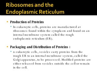 3 3 Cell Organelles Ppt | PPT | Biological Sciences | Science