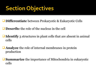 3 3 Cell Organelles Ppt | PPT | Biological Sciences | Science