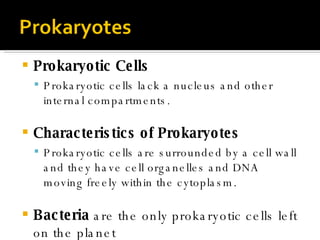3 3 Cell Organelles Ppt | PPT