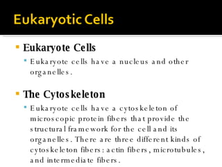 3 3 Cell Organelles Ppt | PPT | Biological Sciences | Science