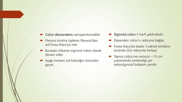 3-3-mide-barsak.pptx