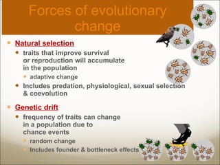 3 30 natural selection review 2 | PPT