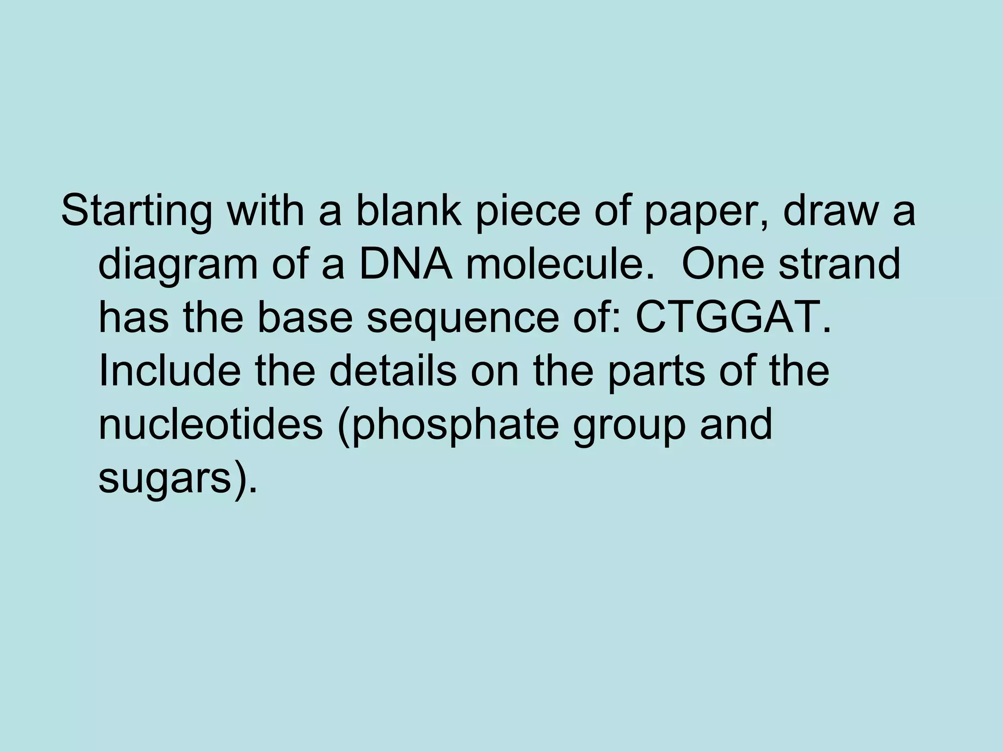 DNA structure | PPT