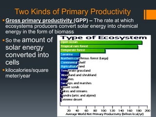 3 3 energy in ecosystems | PPTX